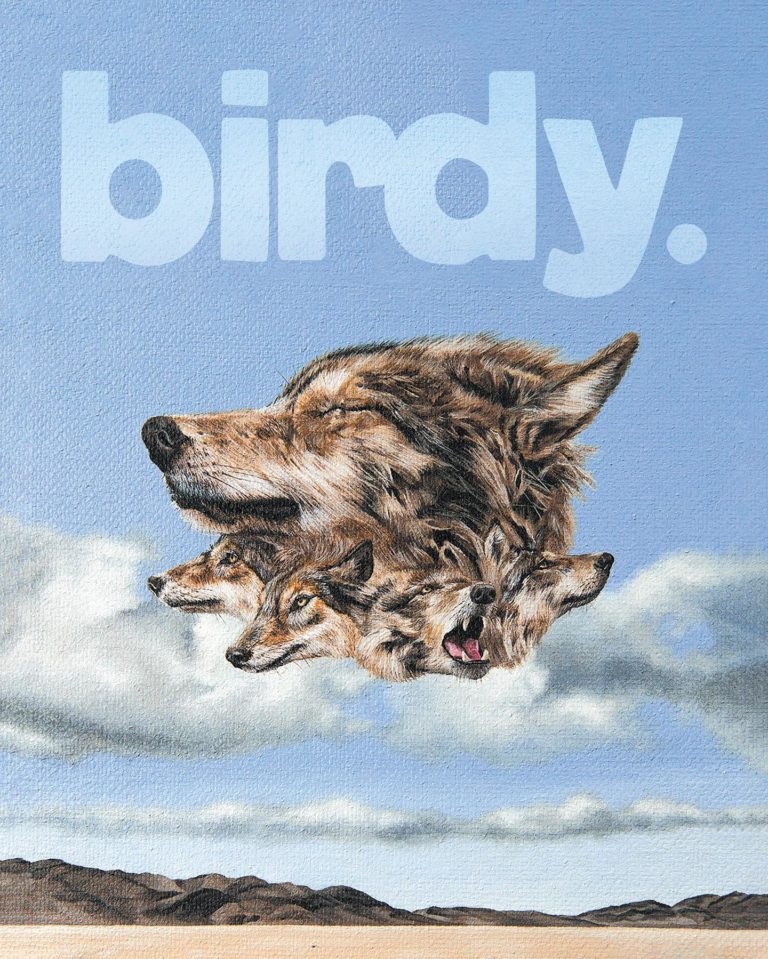 Artist Commentary | Comments and Discussion from artist Amy Guidry